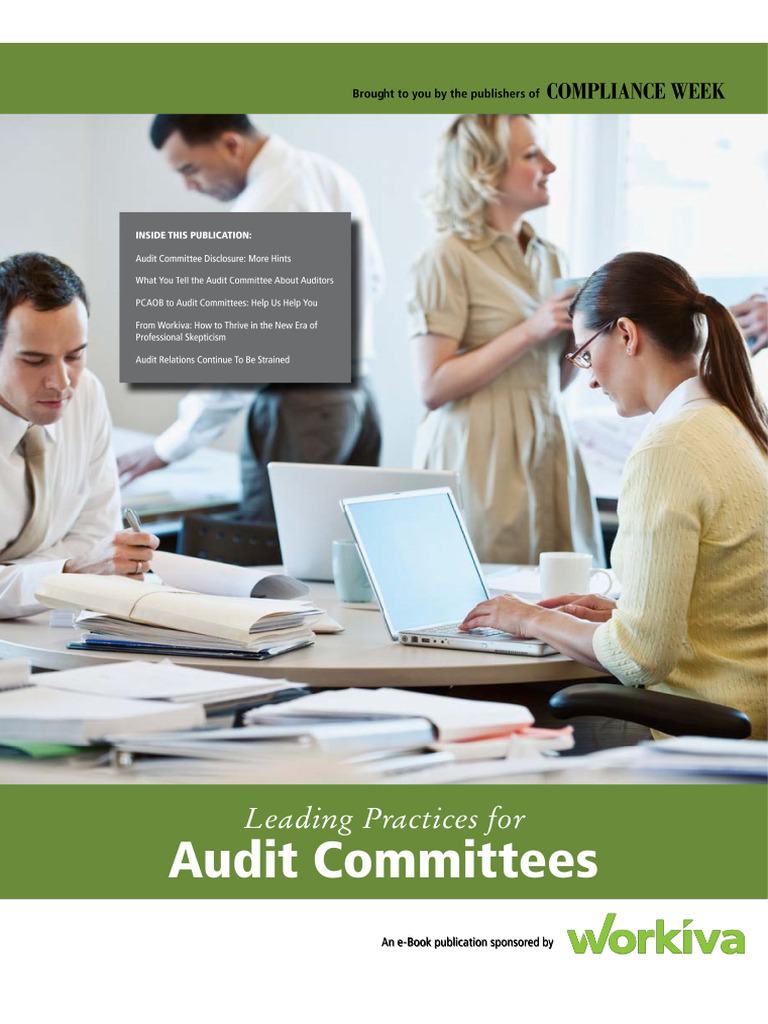 Audit Committee E Book Workiva PDF | PDF