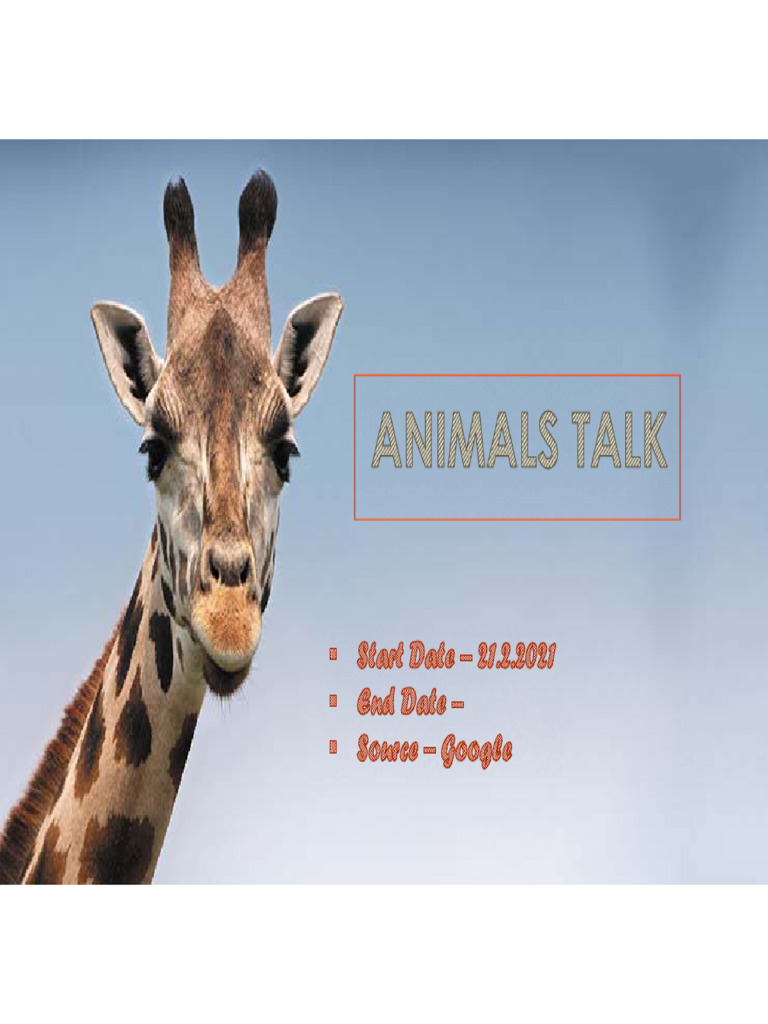 ANIMALS TALK | PDF | Pet | Reptile