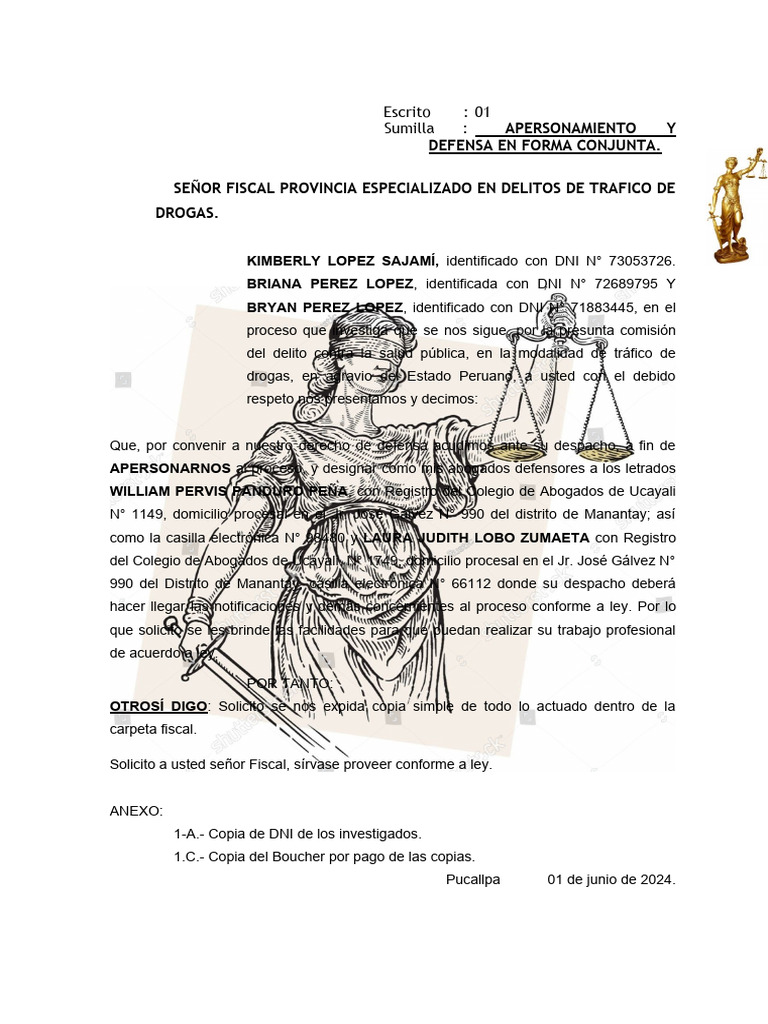 Apersonamiento y Defensa Conjunta | PDF