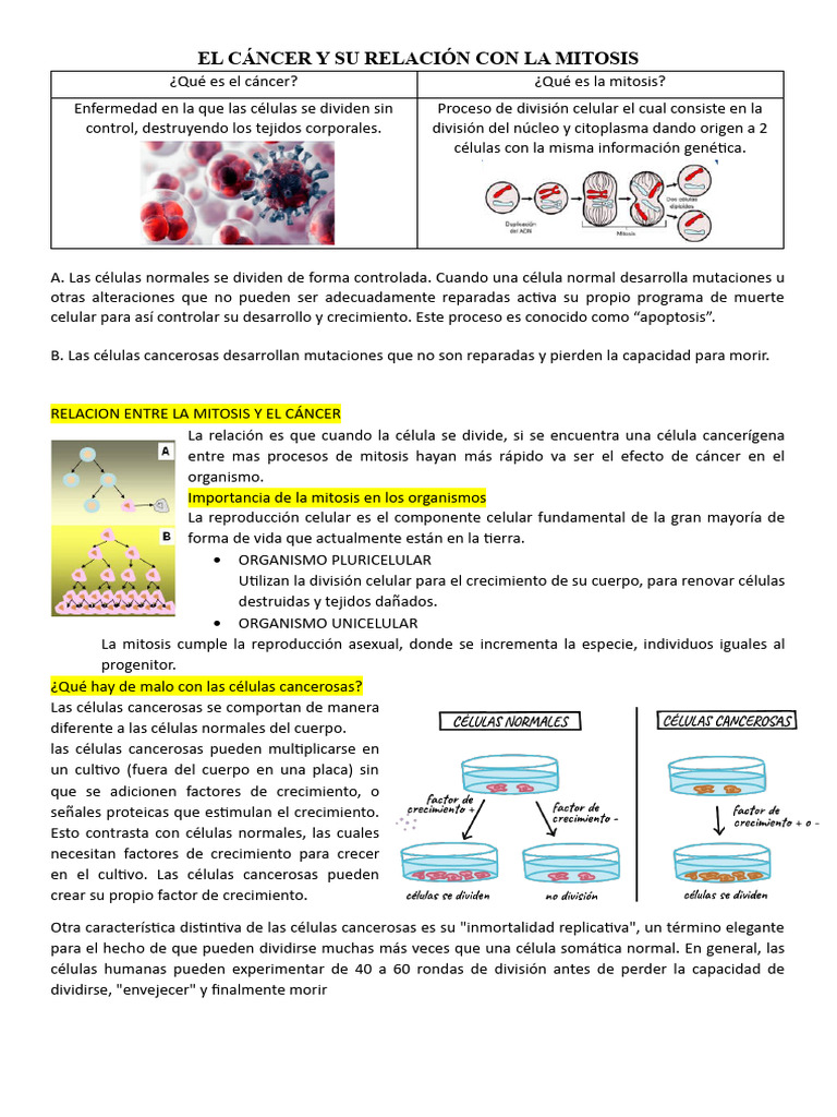 EL CÁNCER Y SU RELACIÓN CON LA MITOSIS | PDF | Cáncer | Metástasis