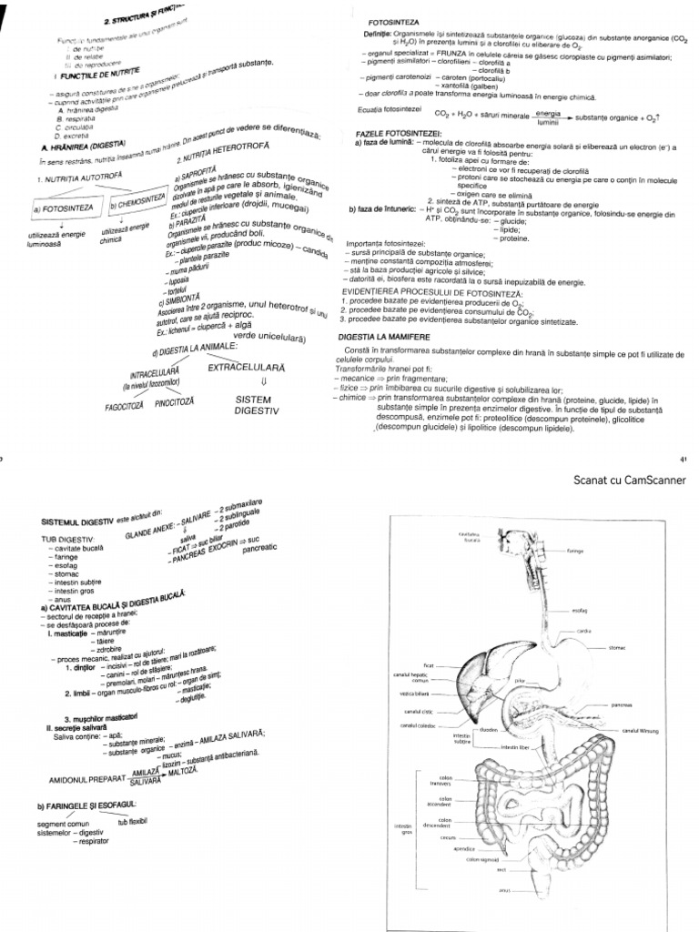 Teste Bac Biologie 11 12 Backup | PDF