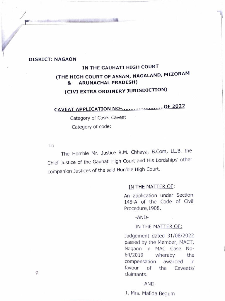 caveat | Download Free PDF | Affidavit | Judgment (Law)