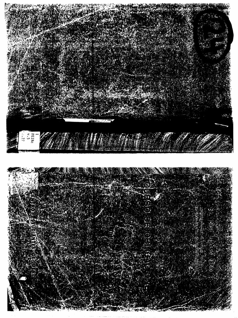 Peirano Curso Oblig - Tomo5 | PDF