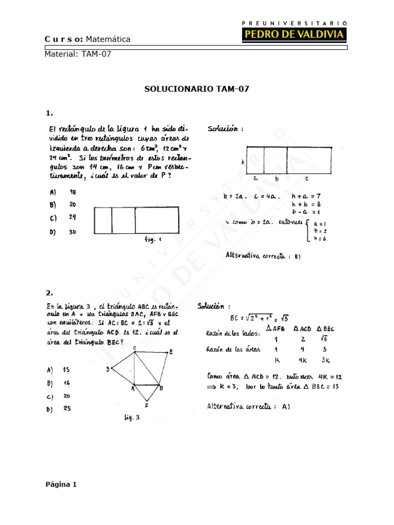 4062-Solucionario TAM-07 | PDF