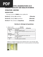 Biology S2 Second Term Exam 2025 | PDF | Photosynthesis | Enzyme