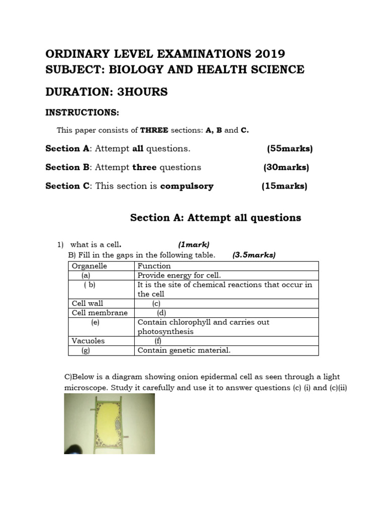 Biology S3-1 | PDF | Food Web | Cell (Biology)