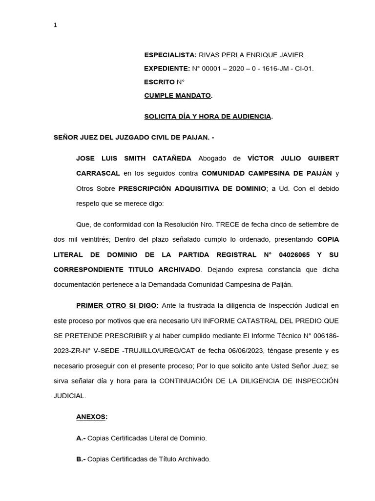 Solicita Resolver Anexos | PDF