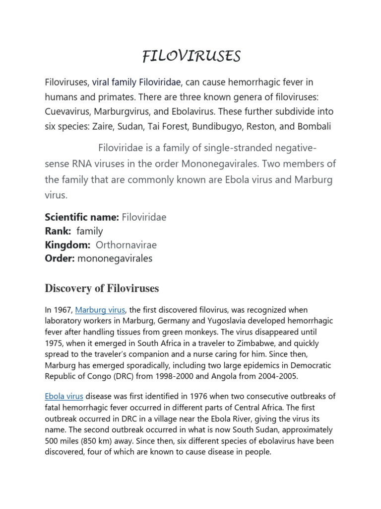 FILOVIRUSES | PDF | Public Health | Medicine