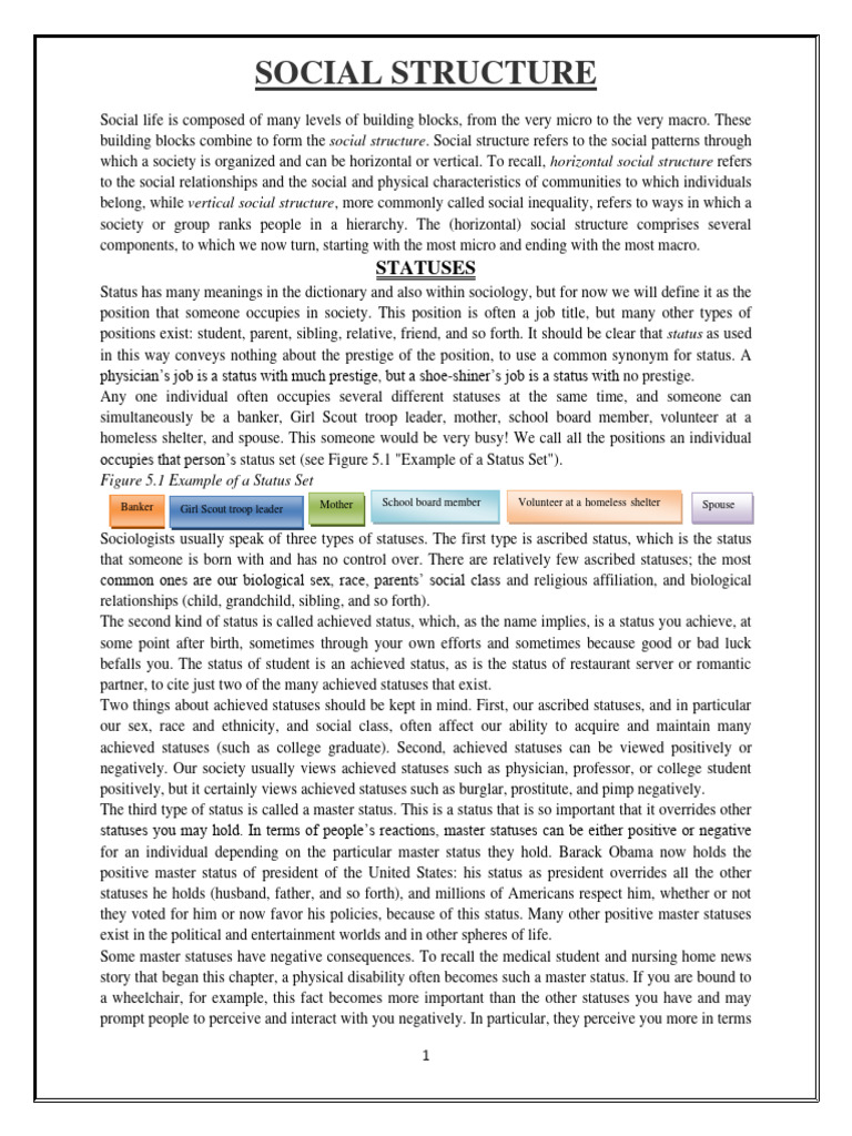 Social Structure | PDF | Society | Community