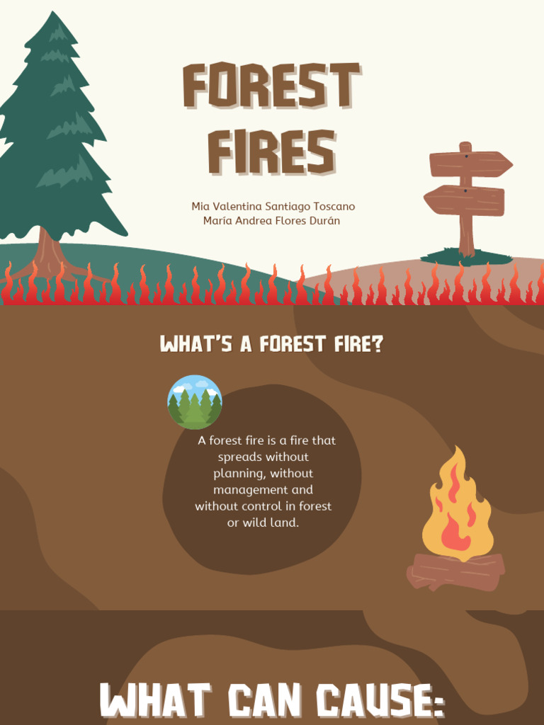 Forest Fires | PDF