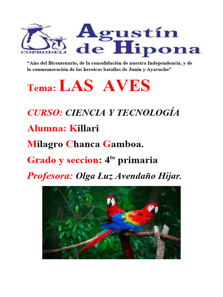 Las Aves Chanca Killari | PDF | Aves | Aves de presa
