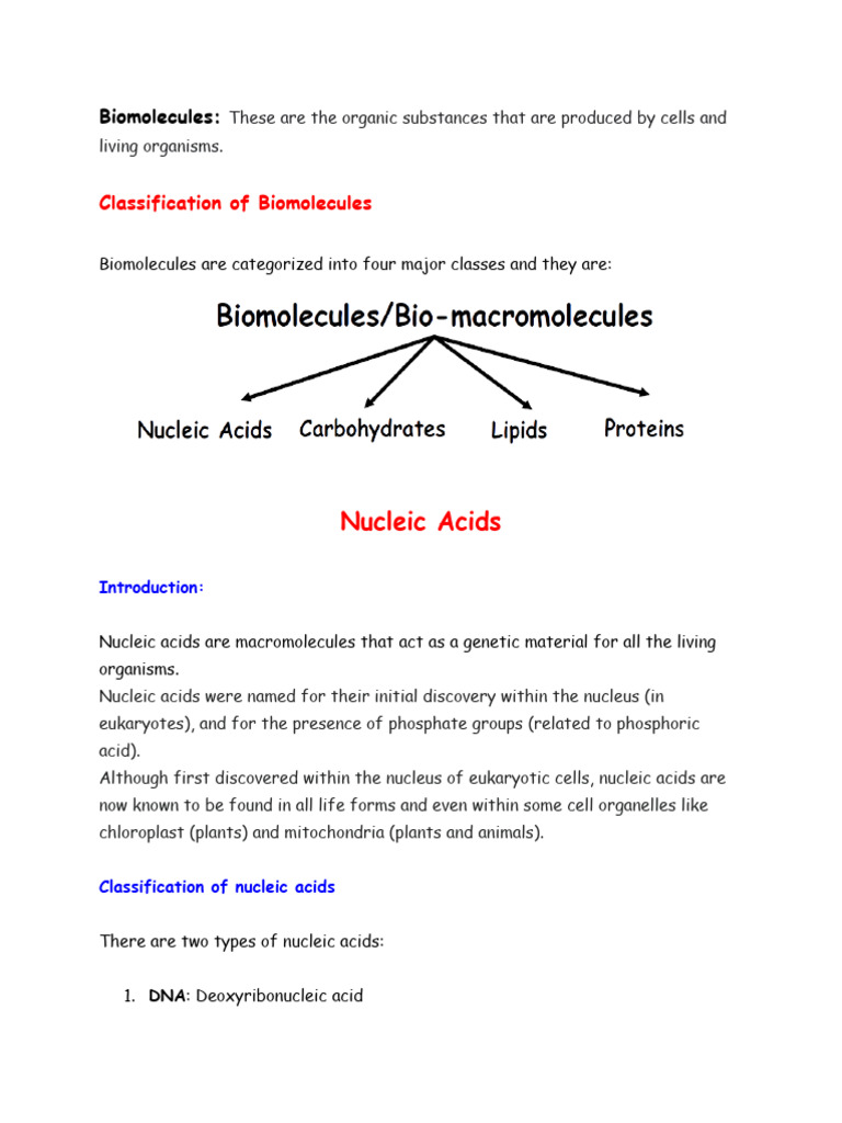 Biomolecules Part1 | PDF | Nucleic Acids | Nucleotides