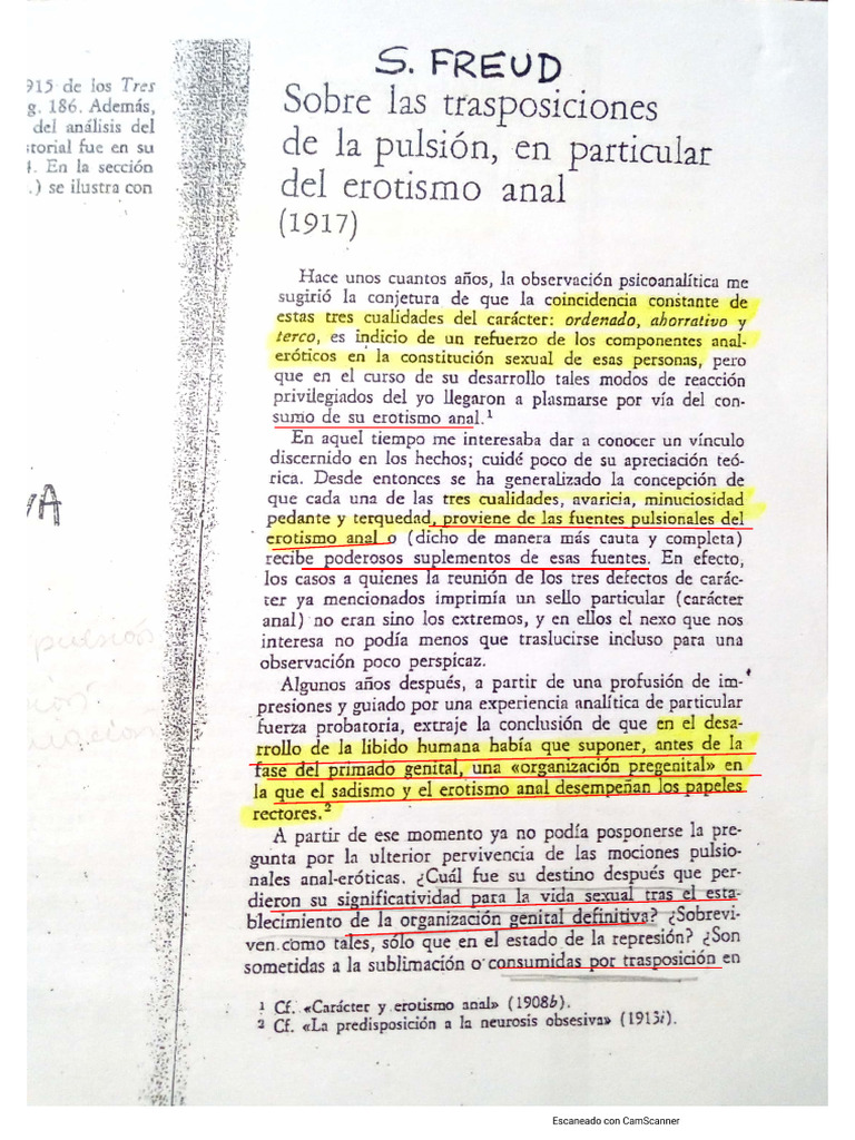 Sobre Las Transposiciones de La Pulsion, e Participar Del Erotismo Anal (1917) | PDF