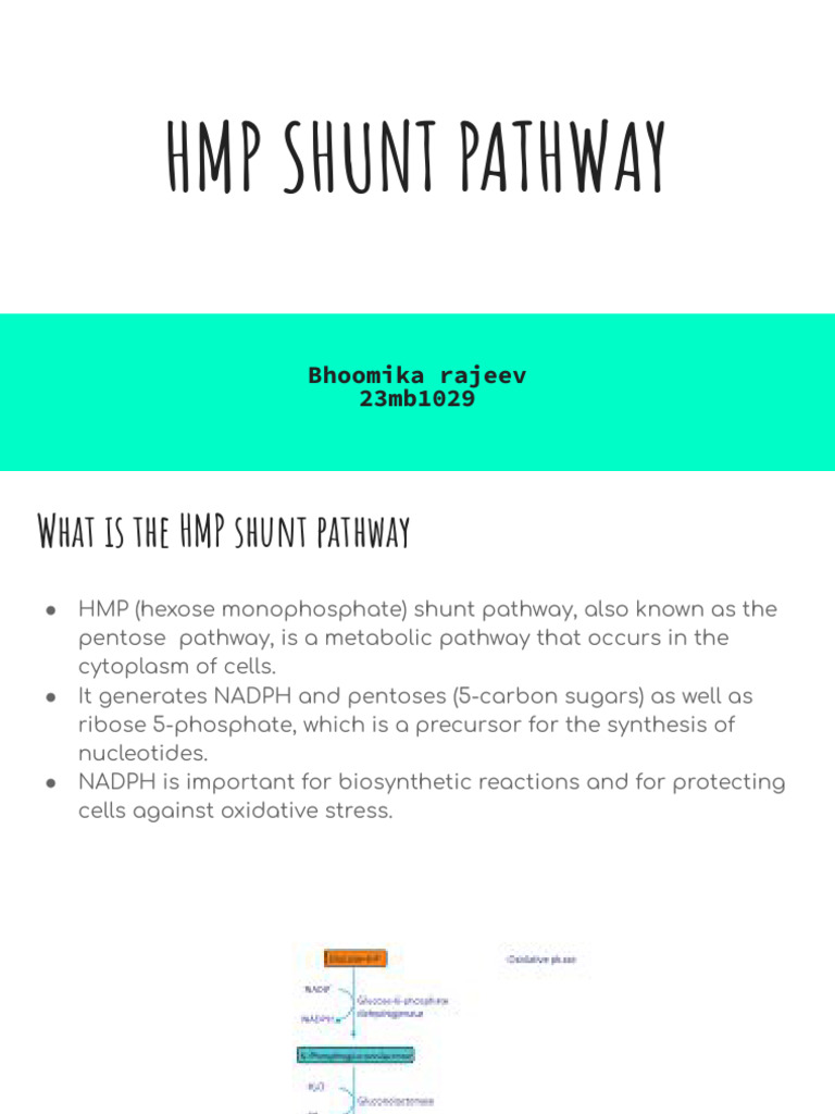 HMP Shunt Pathway: Bhoomika Rajeev 23mb1029 | PDF | Nicotinamide Adenine Dinucleotide Phosphate ...