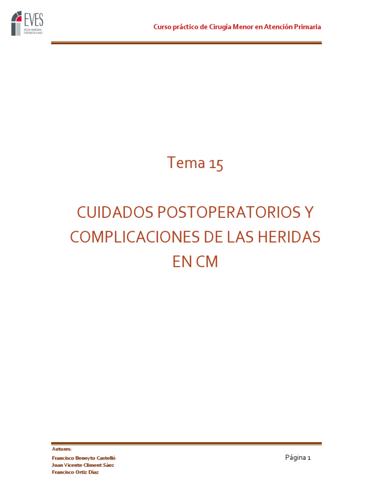 Tema 15 Cuidados y Complicaciones de Las Heridas | PDF | Herida | Cirugía