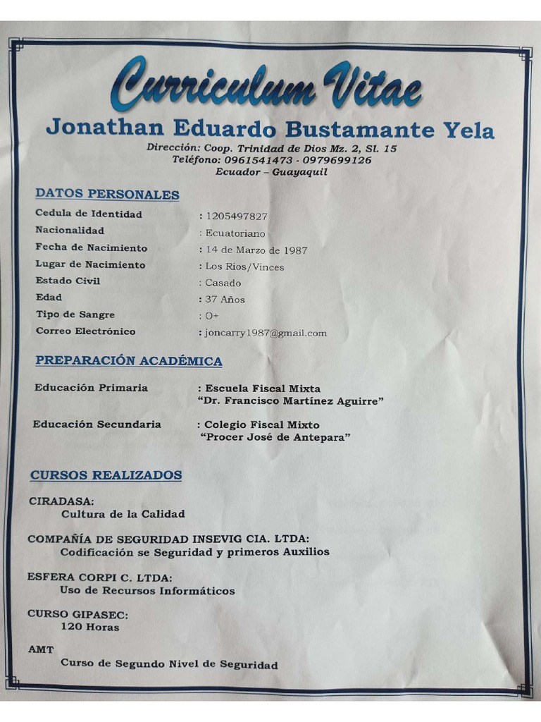 Curriculum Jonathan Bustamante | PDF