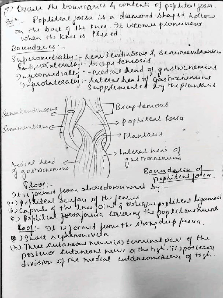 Texto Indescifrable | PDF