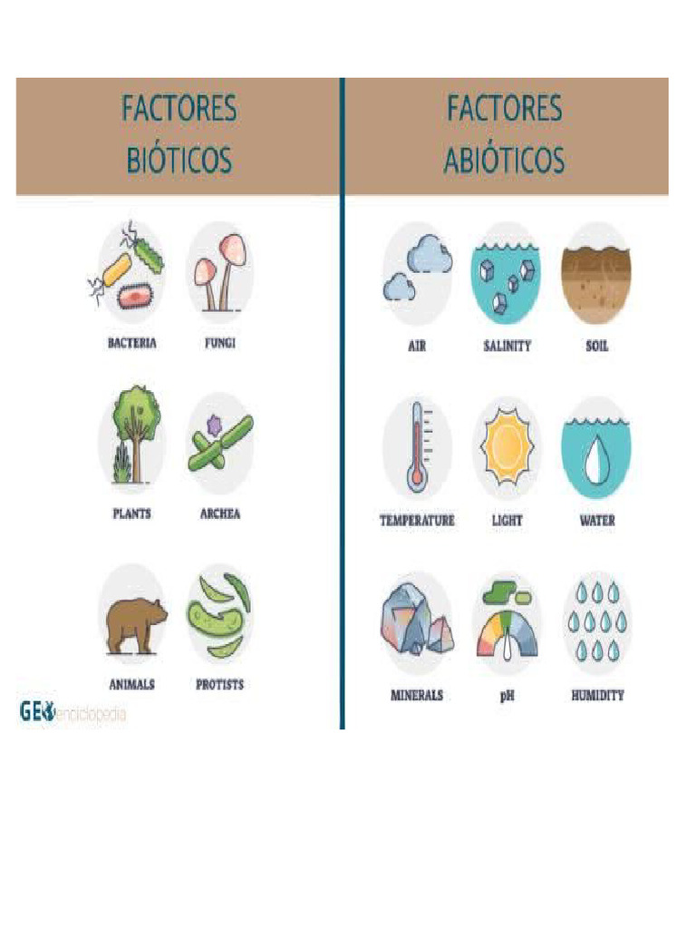 Avioticos y Bioticos | PDF