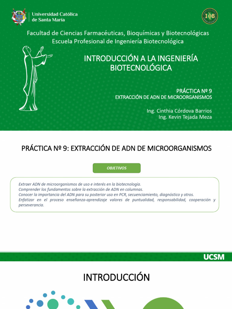 Práctica 9 | PDF | Biotecnología | Adn