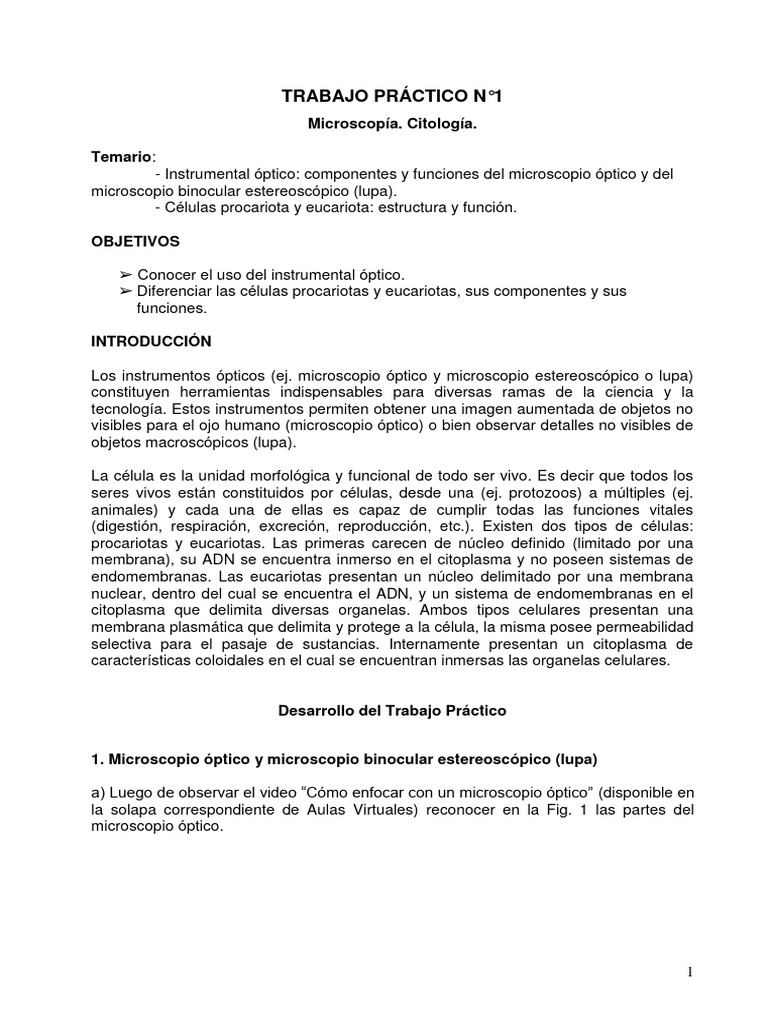 TP 1 Microsopía y Célula 2024 | PDF | Biología Celular) | Citoplasma