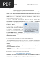 Importancia de los CHONPS en la vida | PDF | Alimentos | Nutrientes