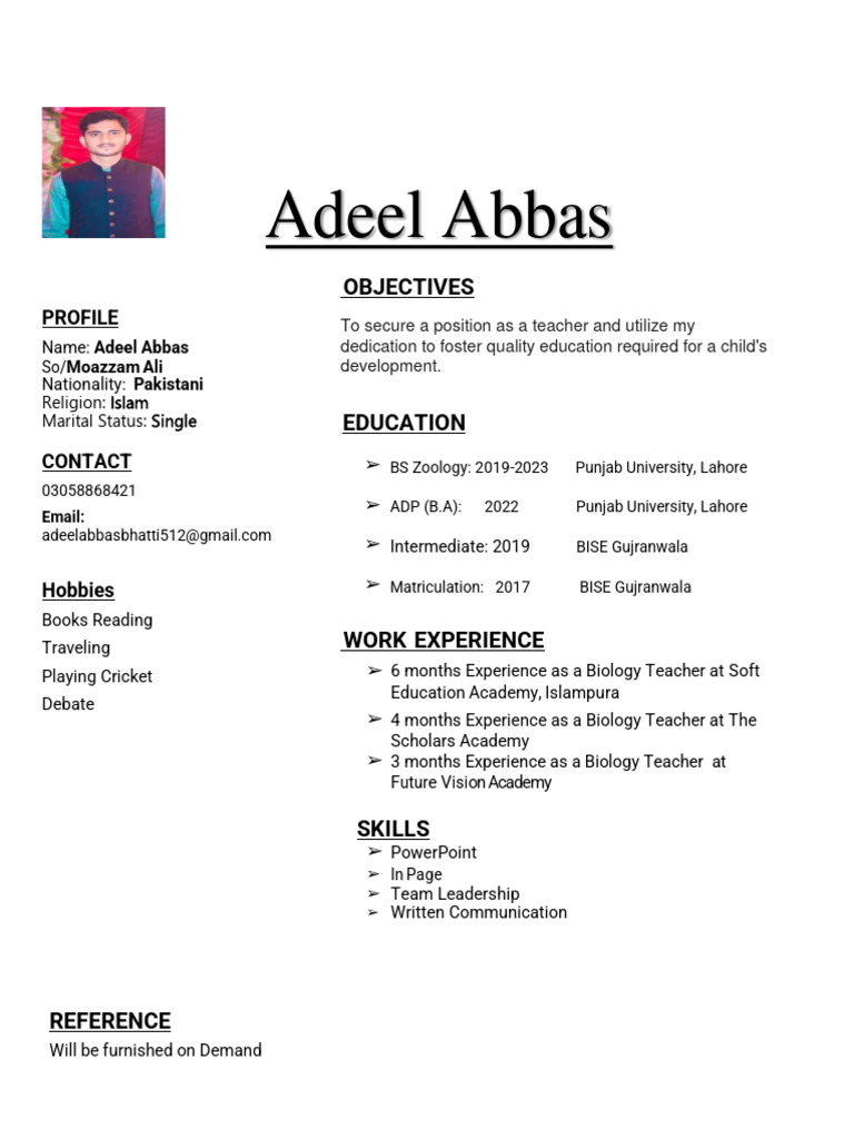 Adeel Abbas' CV | PDF