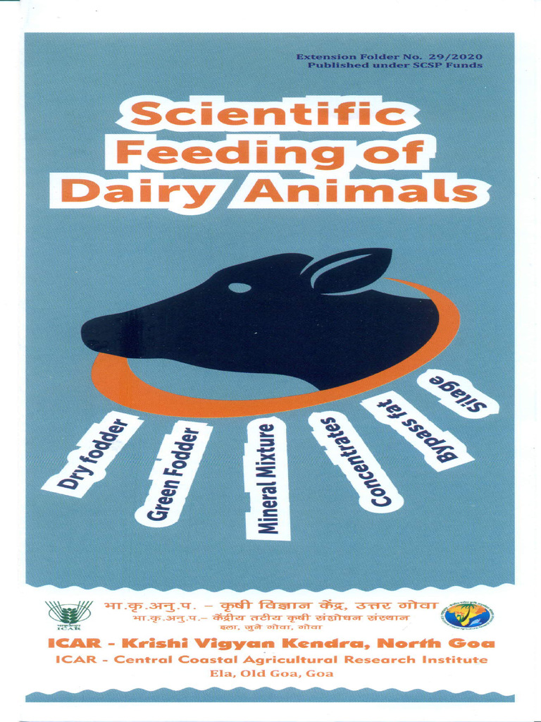 Scientific Feeding of Dairy Animals | PDF