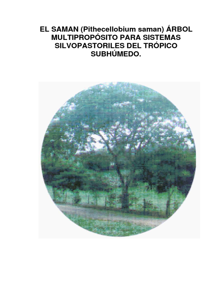 EL SAMAN (Pithecellobium saman) ÁRBOL | Descargar gratis PDF | Vacas ...