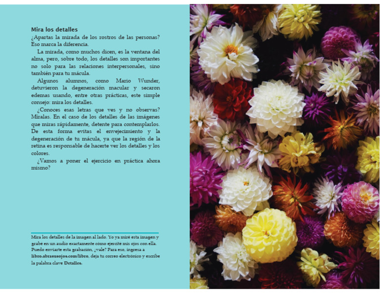 Mejora tu visión: mira los detalles | PDF | Relaciones personales ...