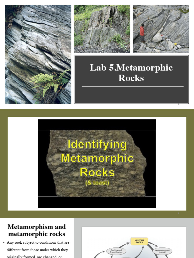 Understanding Metamorphic Rocks and Processes | PDF | Rock (Geology ...