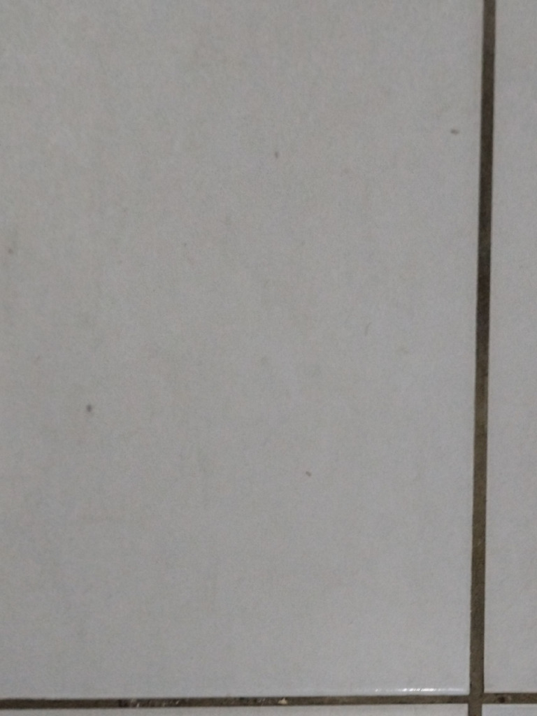 Digitalizado 20240608-1925 | PDF