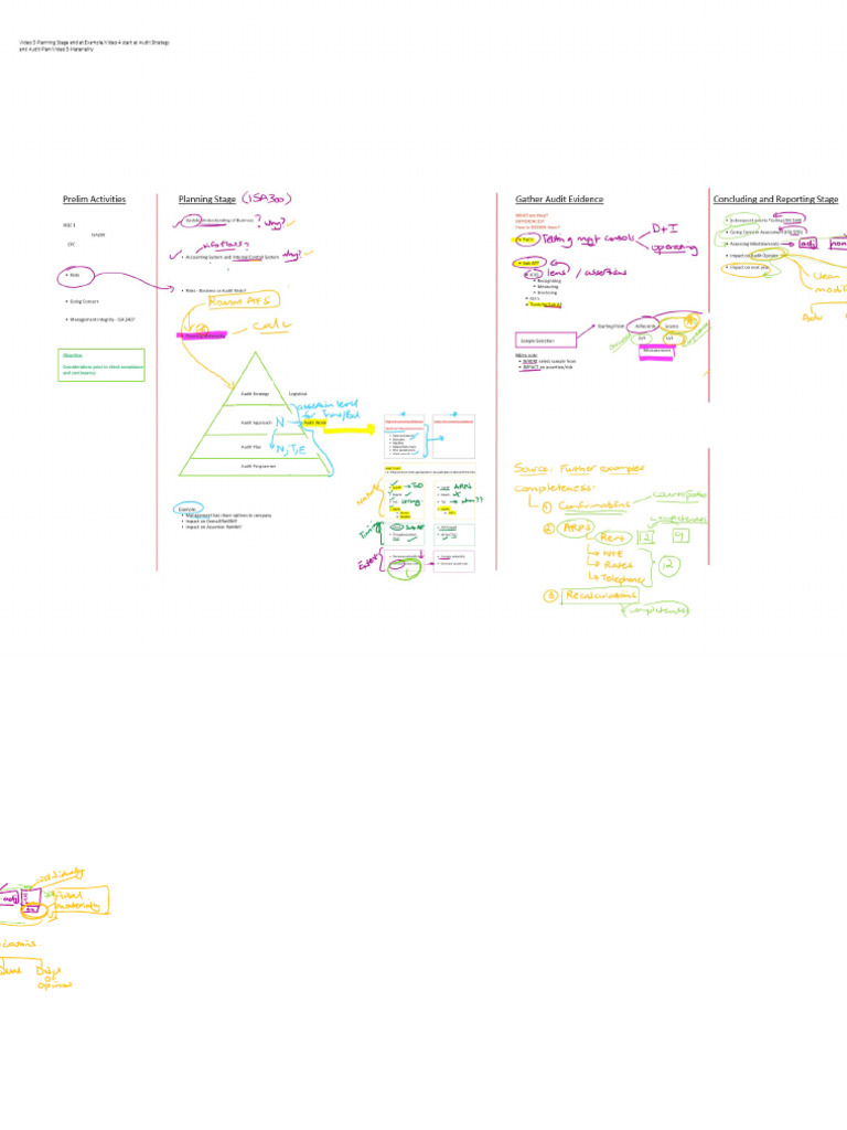 Audit Process Notes - SW | PDF