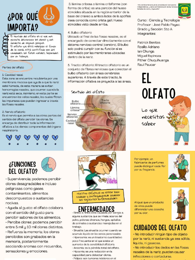 Olfato | PDF