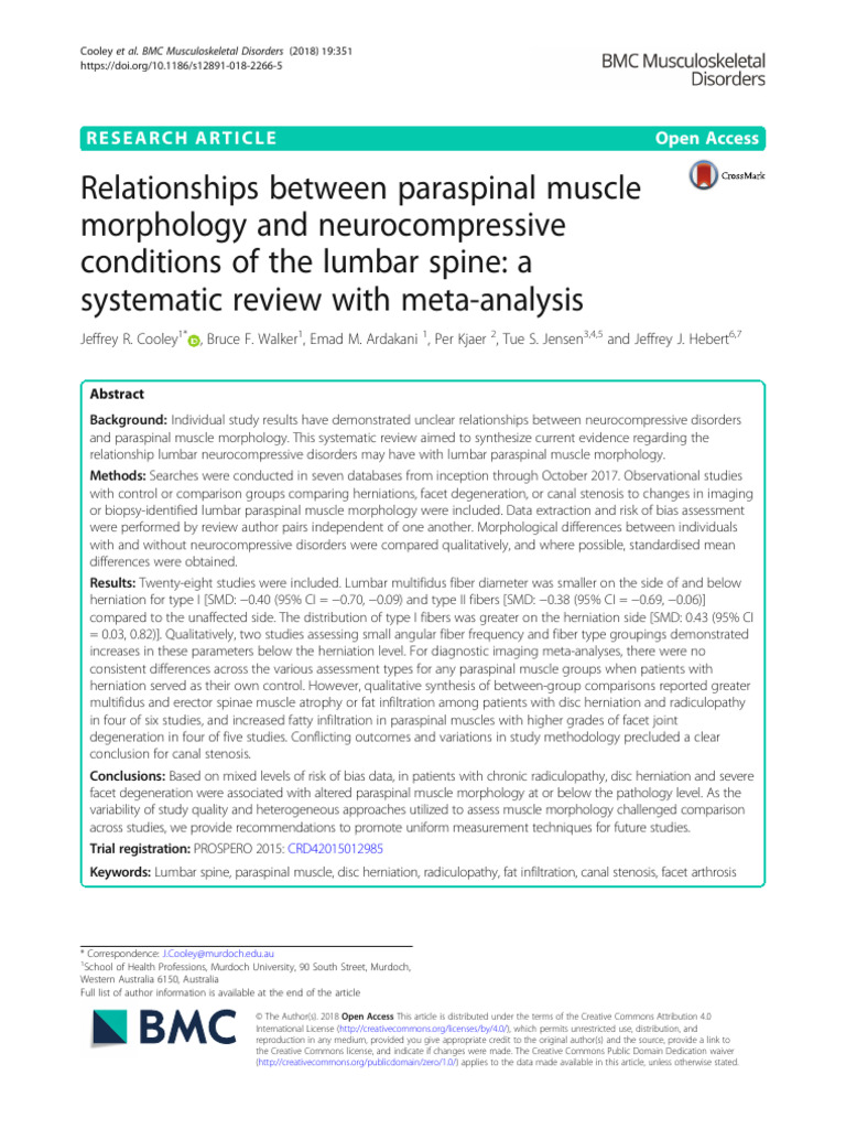 Relationships Between Paraspinal Muscle Morphology and Neurocompressive ...