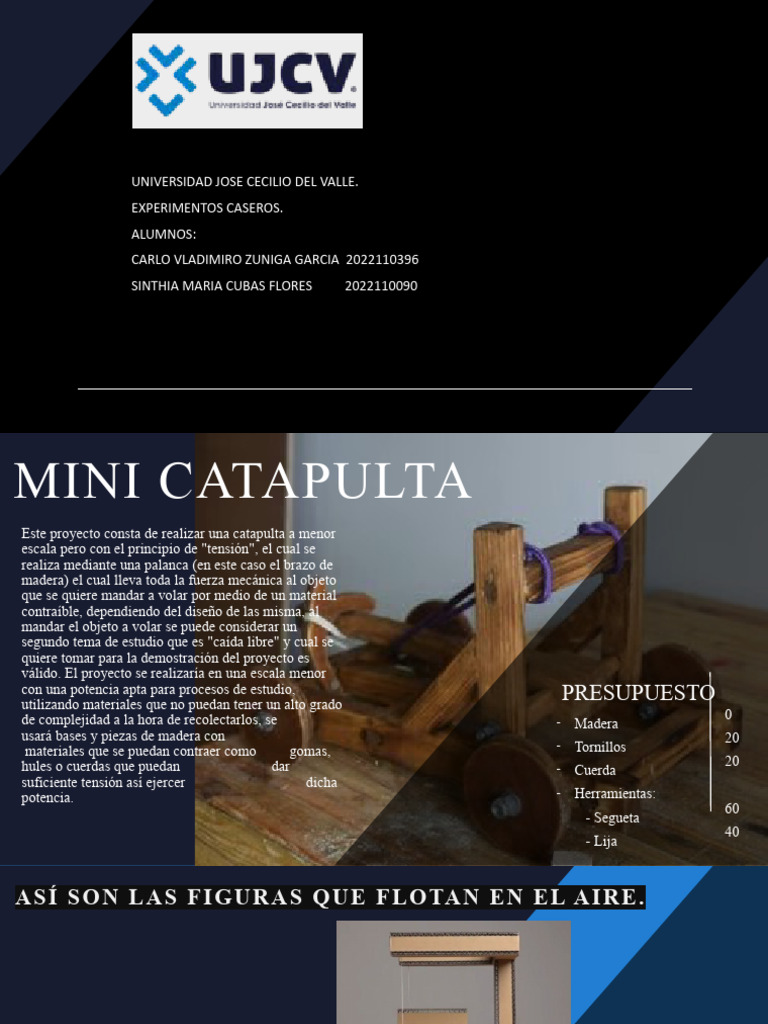 Experimentos Caseros: Catapulta y Magnetismo | PDF | Magnetismo | Imán