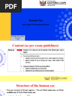 Gr.12 Life Sciences The Ear | PDF | Ear | Auditory System