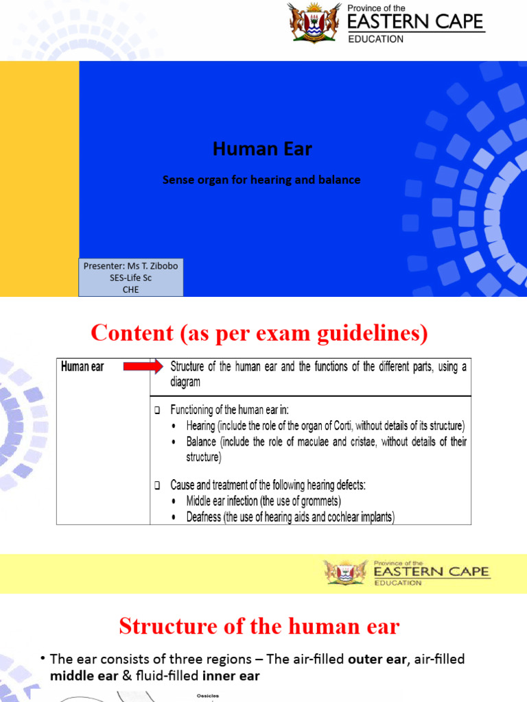 3 Life Sciences Grade 12 EAR STRUCTURE AND FUNCTION | PDF | Ear | Hearing