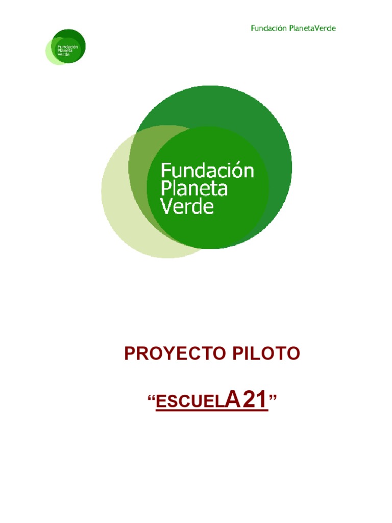 Escuela 21 | PDF | Maestros | Desarrollo sostenible