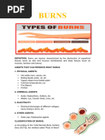 Wallace Rule of Nines for Burn Assessment | PDF | Burn | Intravenous ...