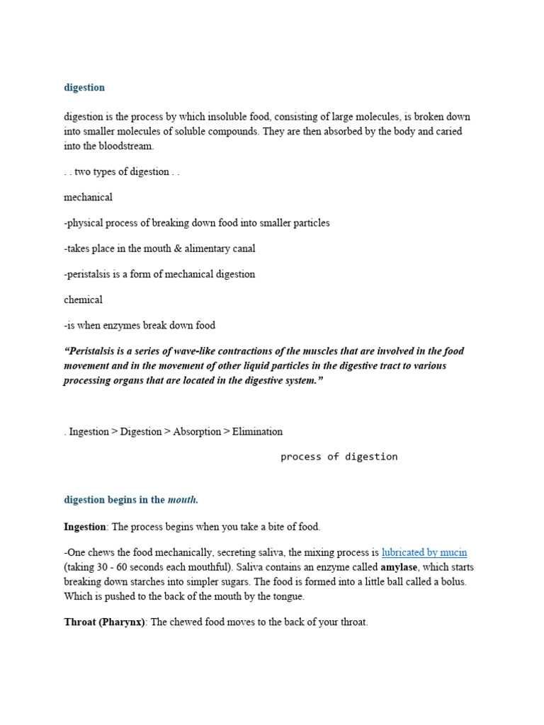 Digestion Notes | PDF | Digestion | Small Intestine
