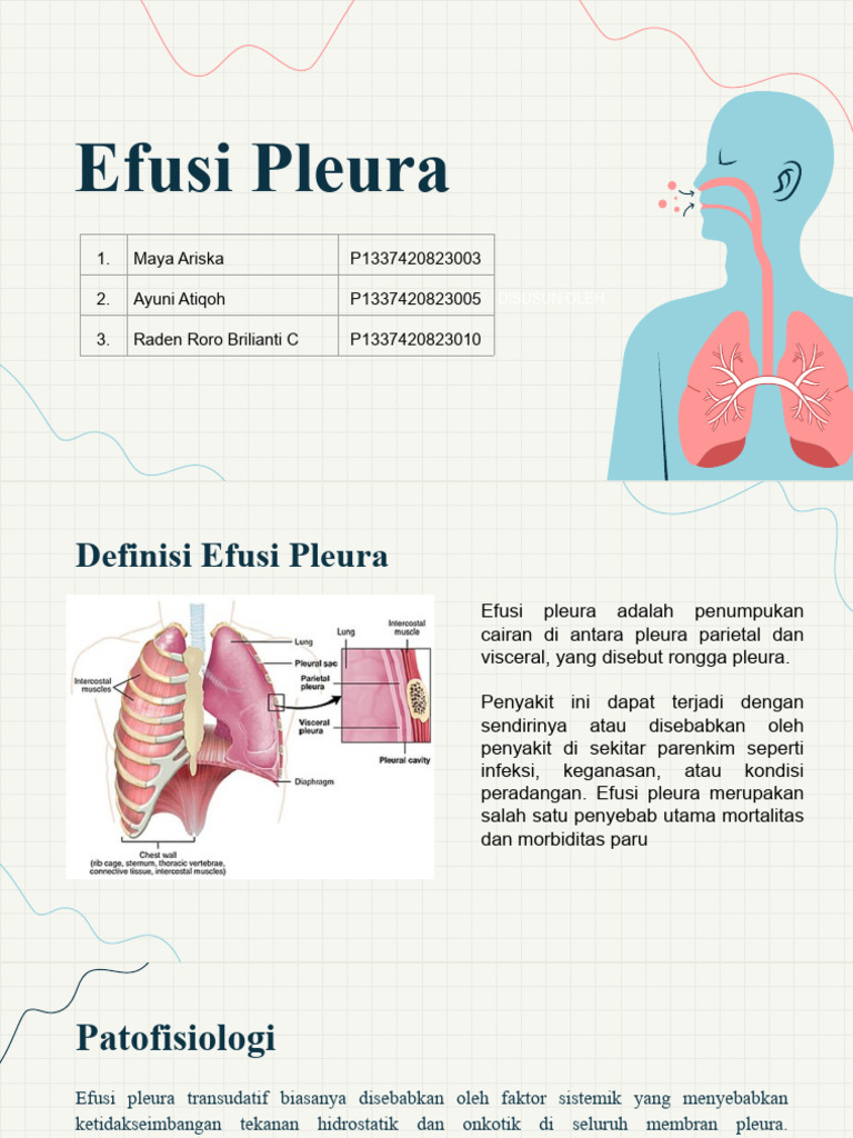 Efusi Pleura | PDF