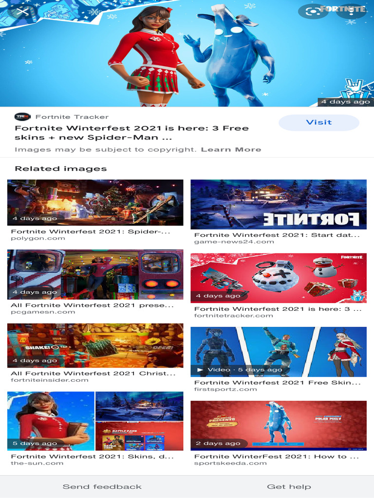 Winterfest 2021 Skins - Google Search | PDF