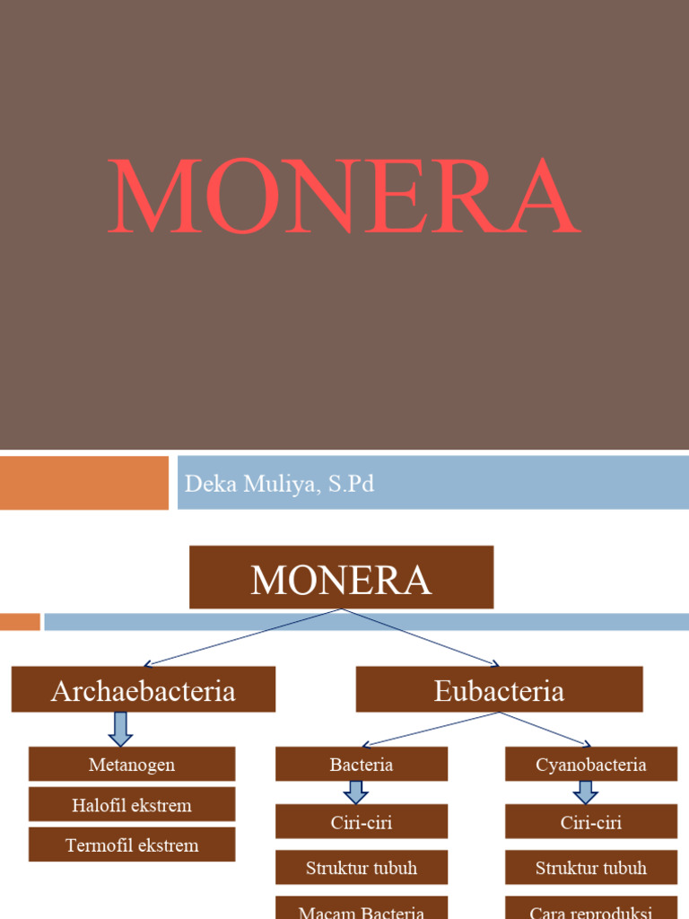 Monera | PDF