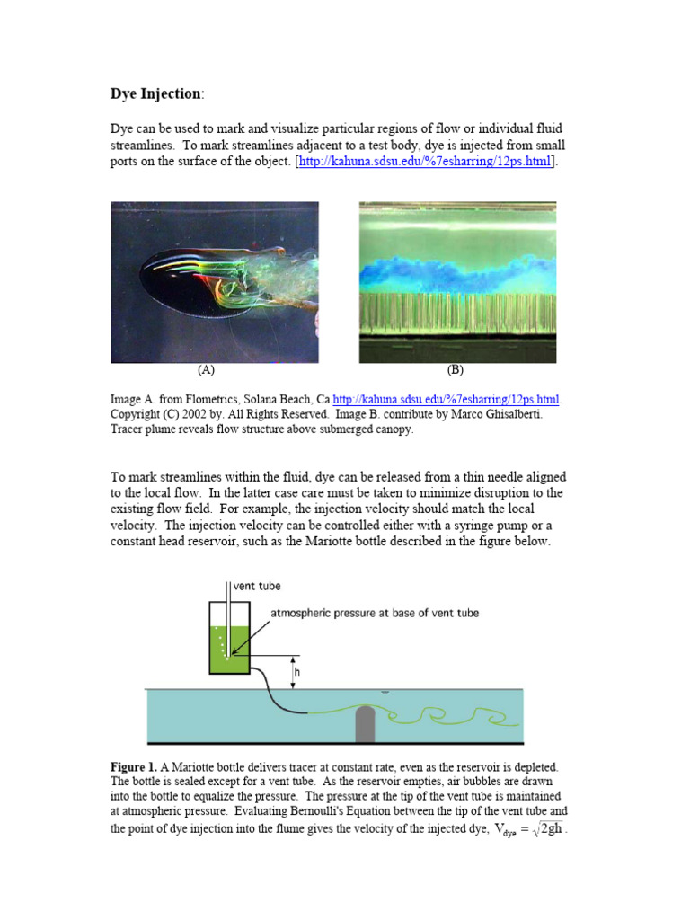 Microsoft Word - 2.dye Injectio - 2.dye - Injection | PDF