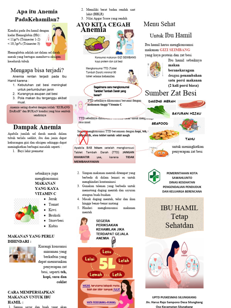 Leaflet ANEMIA BUMIL | PDF