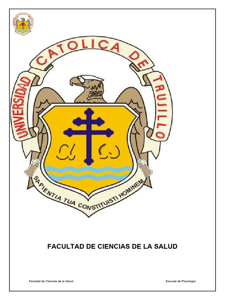 Modelo de Plan Operativo Uct Guia | PDF | Sicología | Psicoterapia