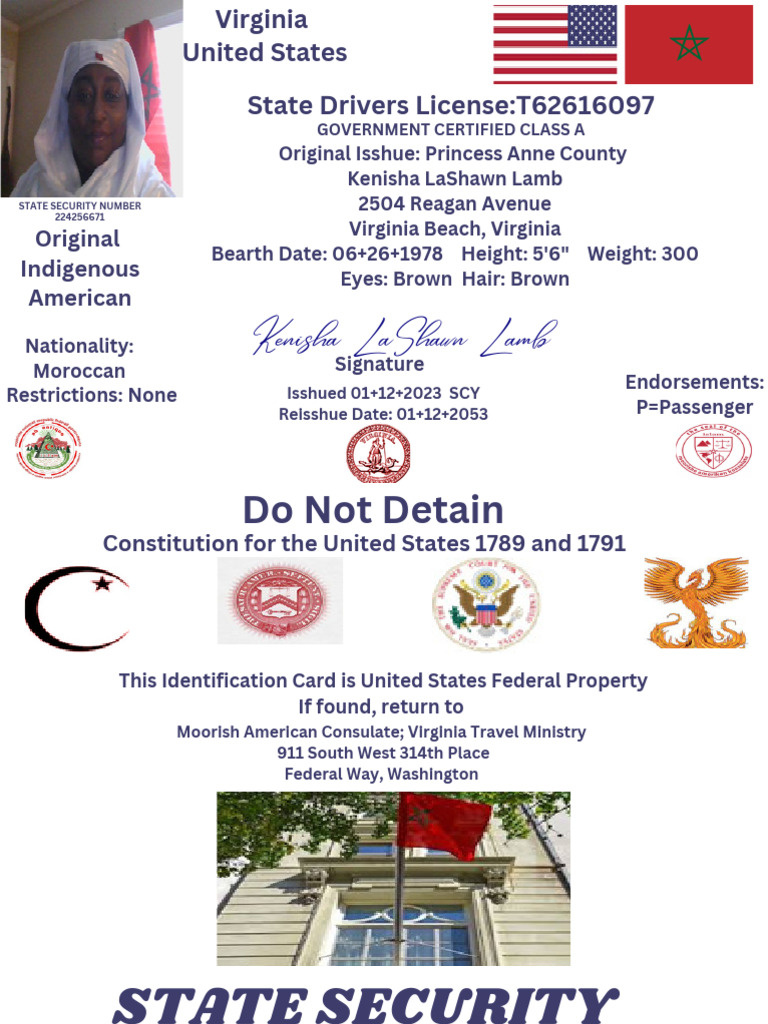 State Drivers License | PDF | Government | Justice