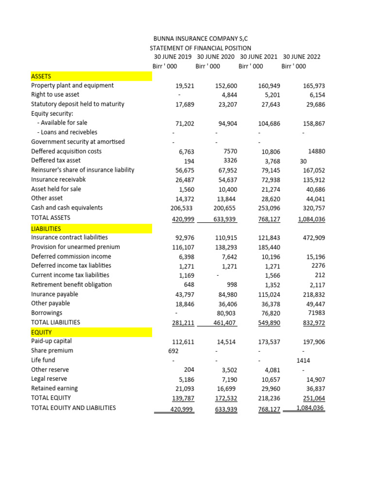 Buna Insurance Balance Sheet | PDF | Balance Sheet | Insurance
