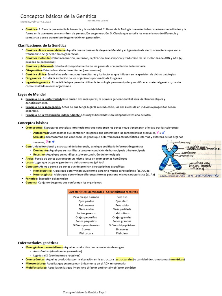 Mapa Cromosómico Humano y Genética | PDF | Rna | Adn