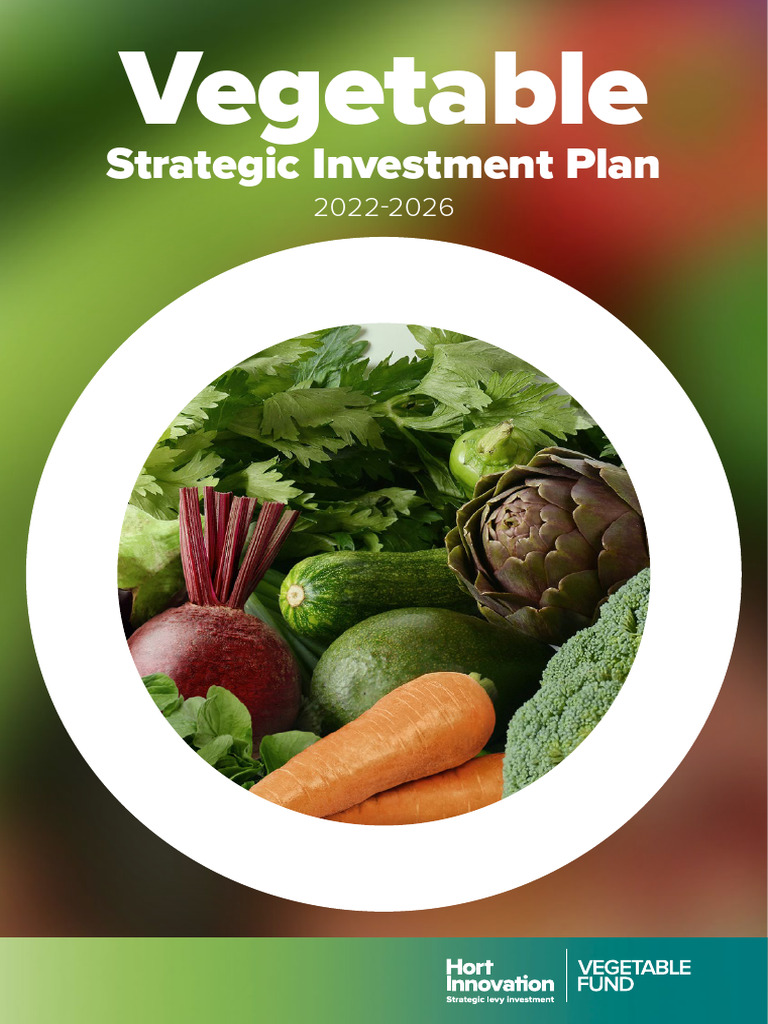 Vegetable Strategic Investment Plan | PDF | Supply Chain | Performance ...